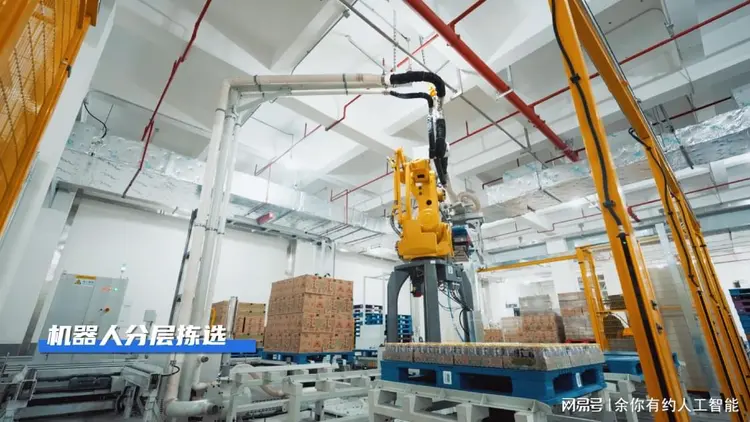 WITSKILL Robot Intelligent Stereoscopic Warehouse Automatic Picking ...